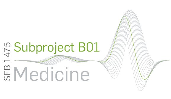 Subproject B01 - SFB1475 - Ruhr-Universität Bochum